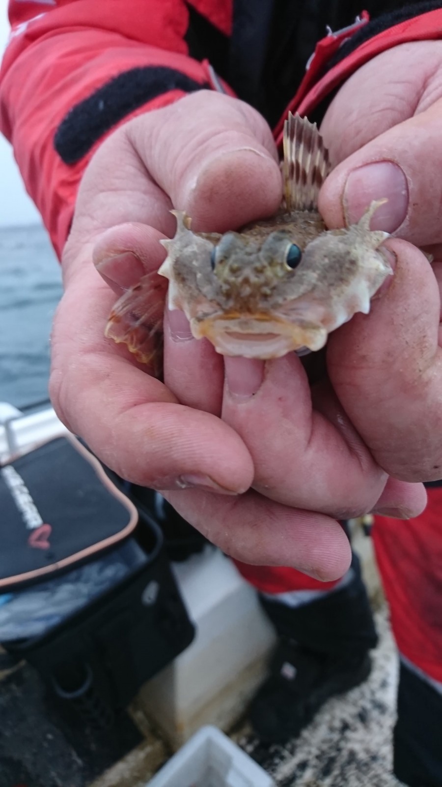 Finnmark – SFK Galskap